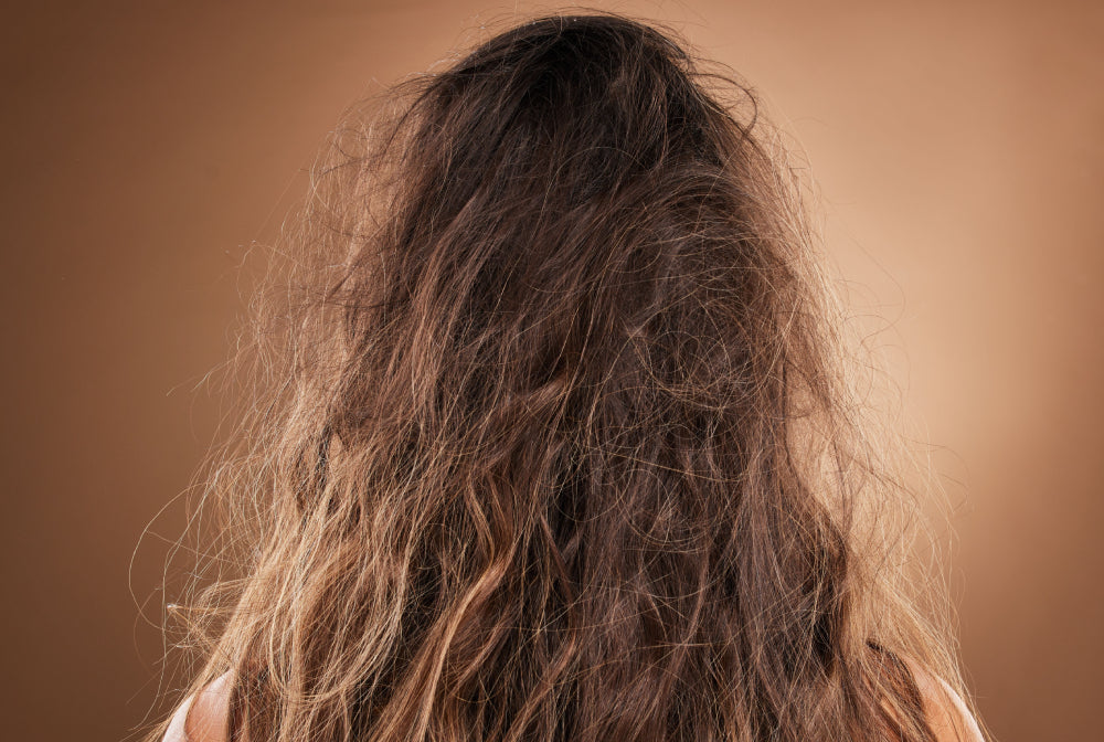Five Tips To Fix, Repair And Treat Damaged Hair – PHS HAIRSCIENCE
